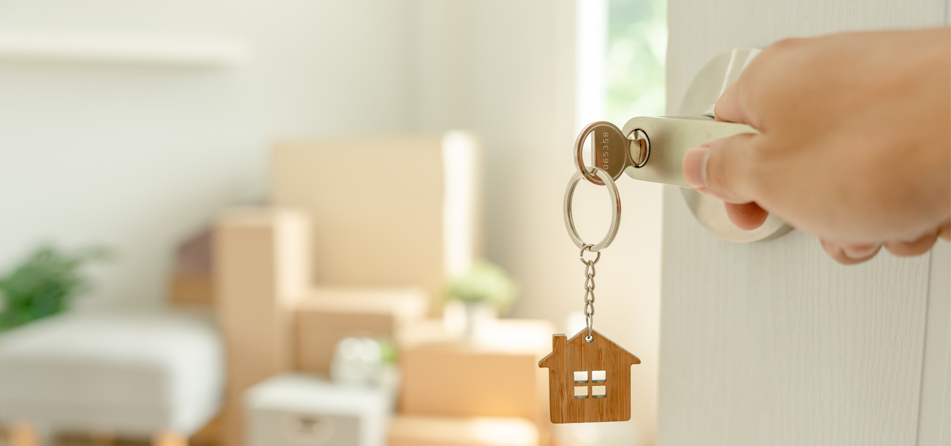 Why You Need Professional Property Management Services